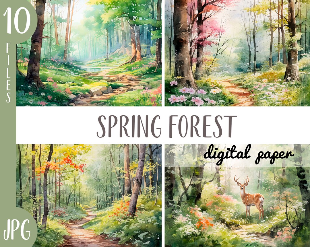 Watercolor Spring Forest Clipart: Woodland Digital Paper (JPG) - Etsy