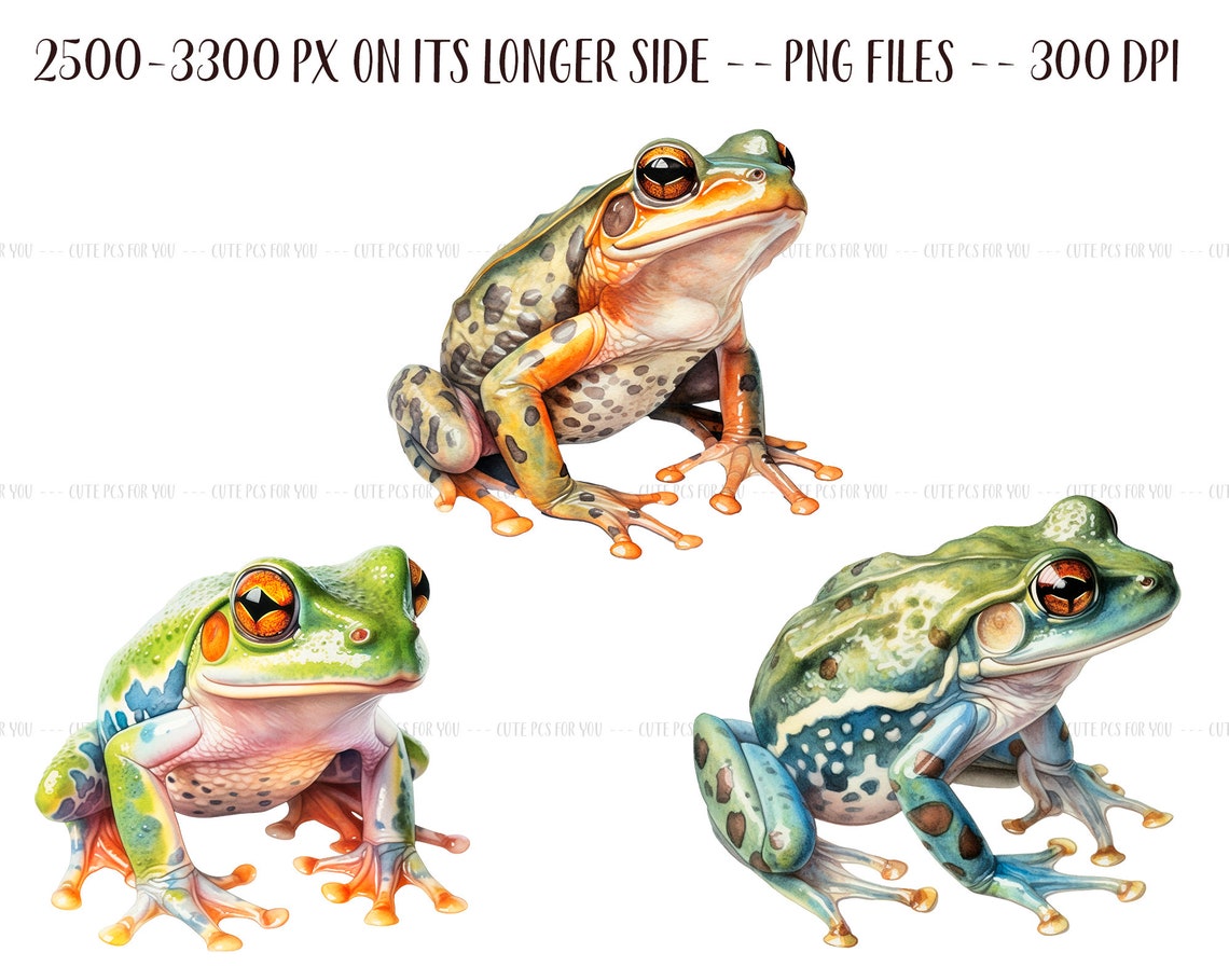 Watercolor Realistic Frogs Clipart Cute Amphibians PNG - Etsy