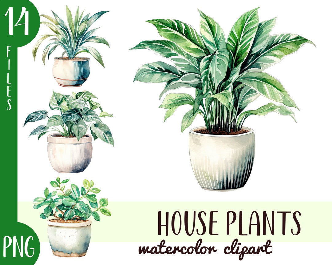 Watercolor House Plants Clipart - Home Floral Decor Sublimation ...