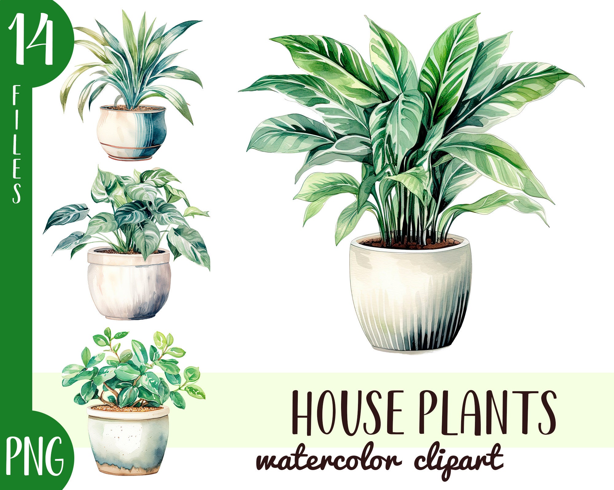 Watercolor House Plants Clipart Home Floral Decor - Etsy