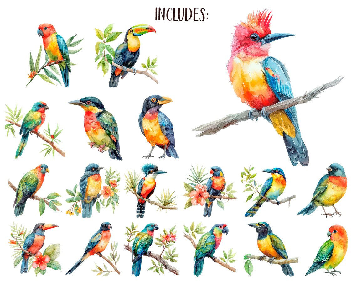 Watercolor Tropical Birds Clipart - Bright Bird Illustration PNG ...