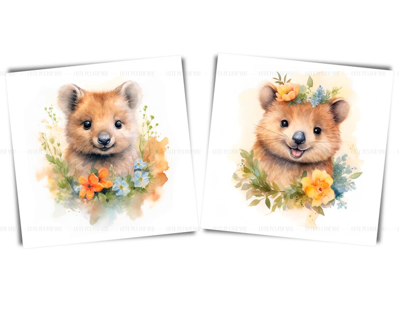 Watercolor Quokka Clipart: Floral Kangaroo Illustrations (JPG Files) - Etsy