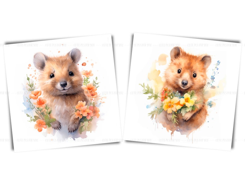 Watercolor Quokka Clipart: Floral Kangaroo Illustrations (JPG Files) - Etsy