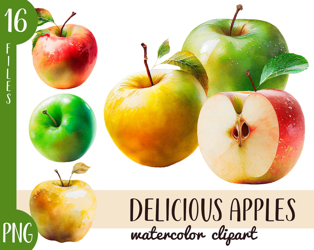 Watercolor Apples Clipart - Delicious Fruits PNG - Tasty Fruit Digital ...