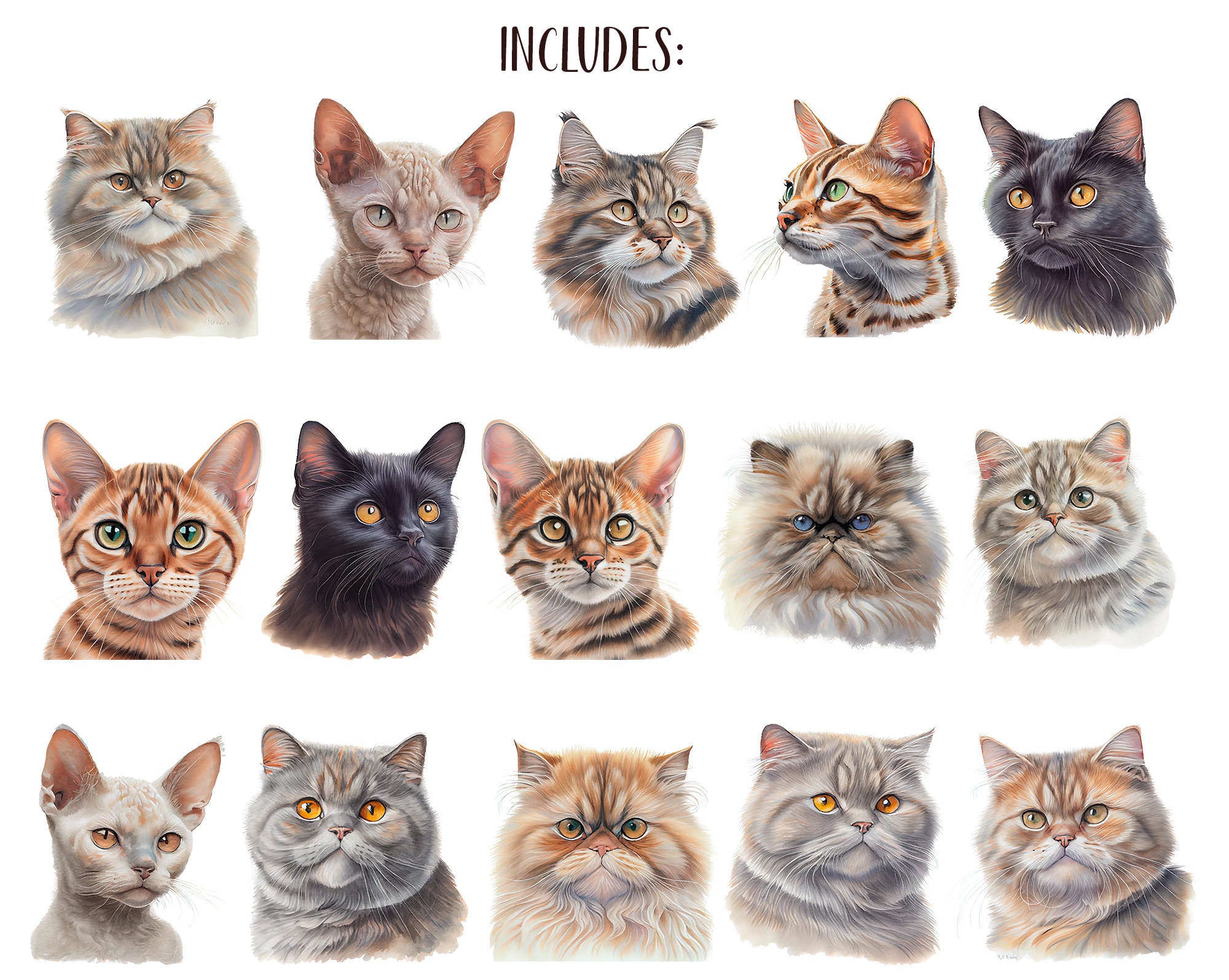 Watercolor Cat Breeds Clipart Realistic Cats Digital - Etsy