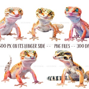 Watercolor Realistic Leopard Geckos Clipart - Cute Reptiles PNG ...
