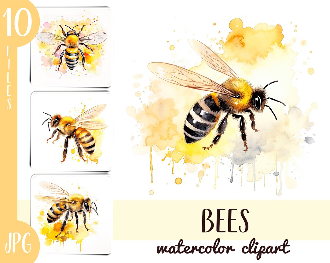 Watercolor Bees Clipart: Yellow Insect Graphics (digital Download) - Etsy
