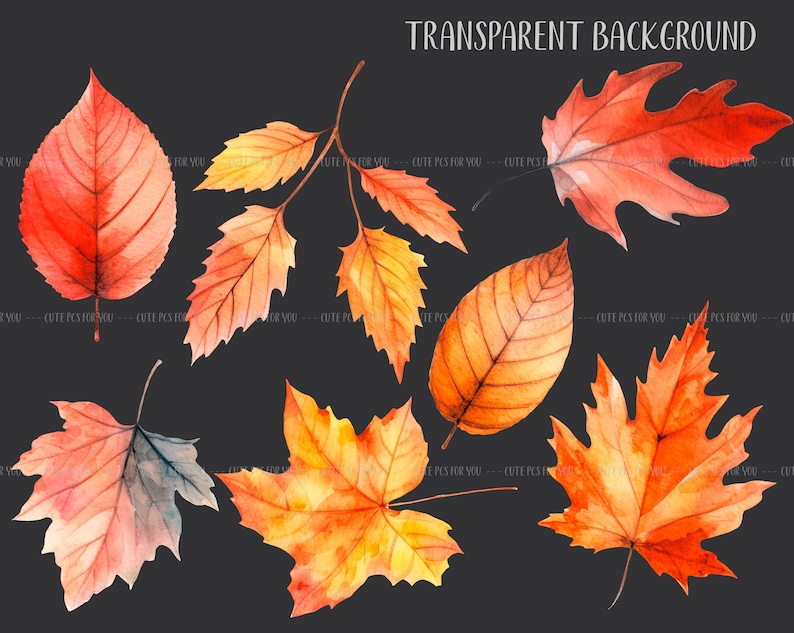 Watercolor Autumn Leaves Clipart: 29 PNG Elements (digital Download) - Etsy