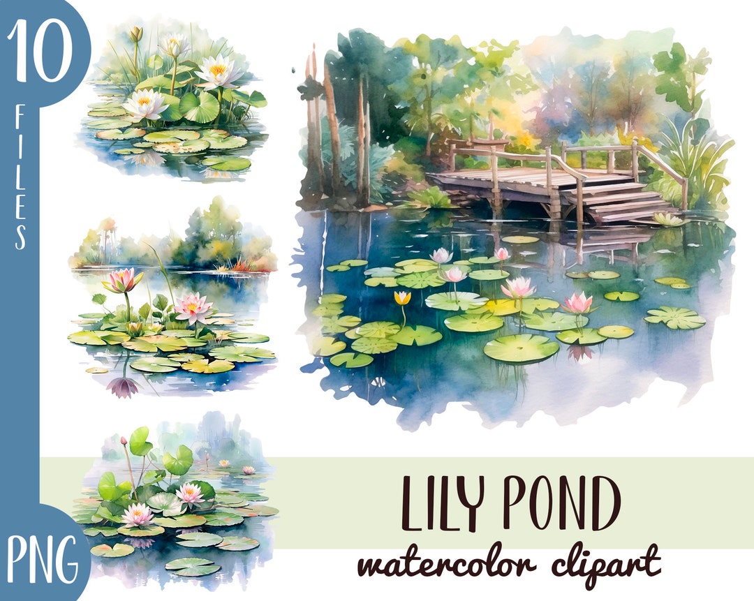 Watercolor Lily Pond Clipart: PNG Landscape Illustration (digital ...