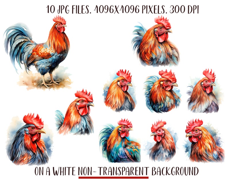 Watercolor Roosters Clipart portrait of a Rooster Digital - Etsy