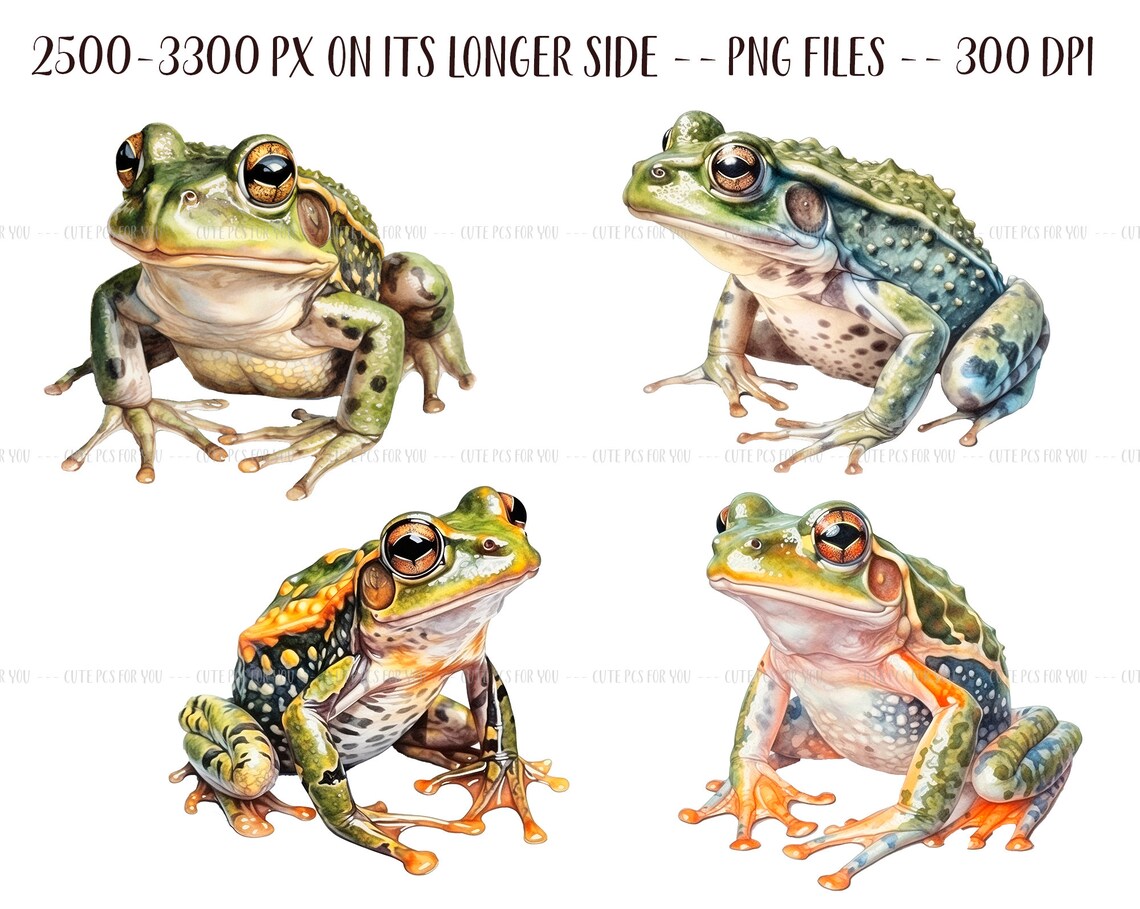 Watercolor Realistic Frogs Clipart Cute Amphibians PNG - Etsy