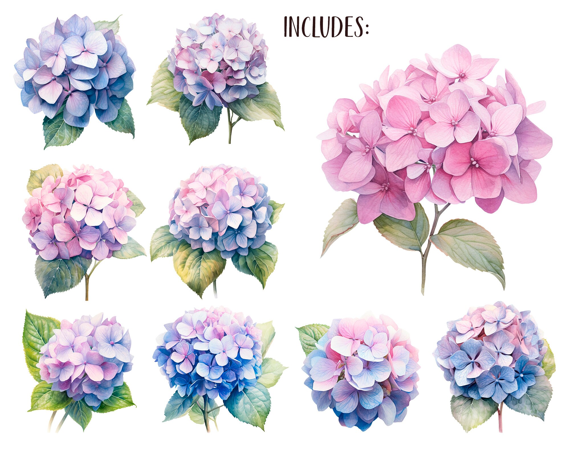 Watercolor Hydrangea Clipart Spring Wedding Flowers - Etsy