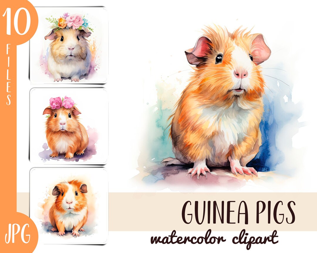 Watercolor Cute Guinea Pigs Clipart - Pets Digital Paper - Floral ...