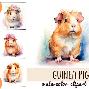 Watercolor Cute Guinea Pigs Clipart - Pets Digital Paper - Floral ...