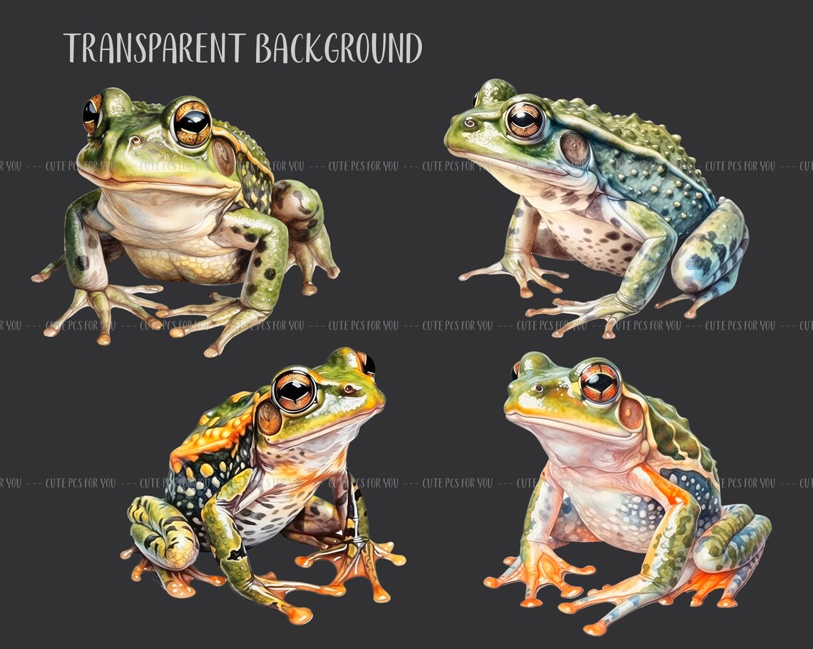 Watercolor Realistic Frogs Clipart Cute Amphibians PNG - Etsy