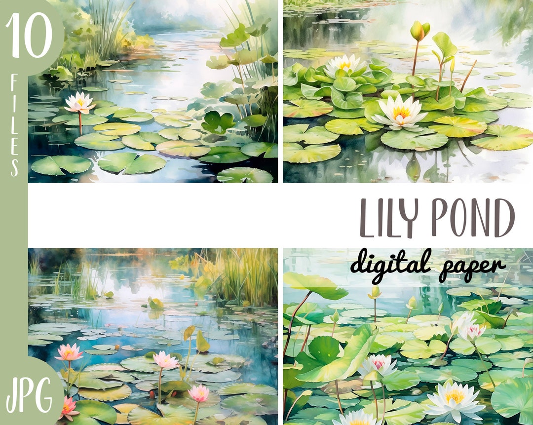 Watercolor Lily Pond Clipart: Garden Landscape JPG (digital Download ...