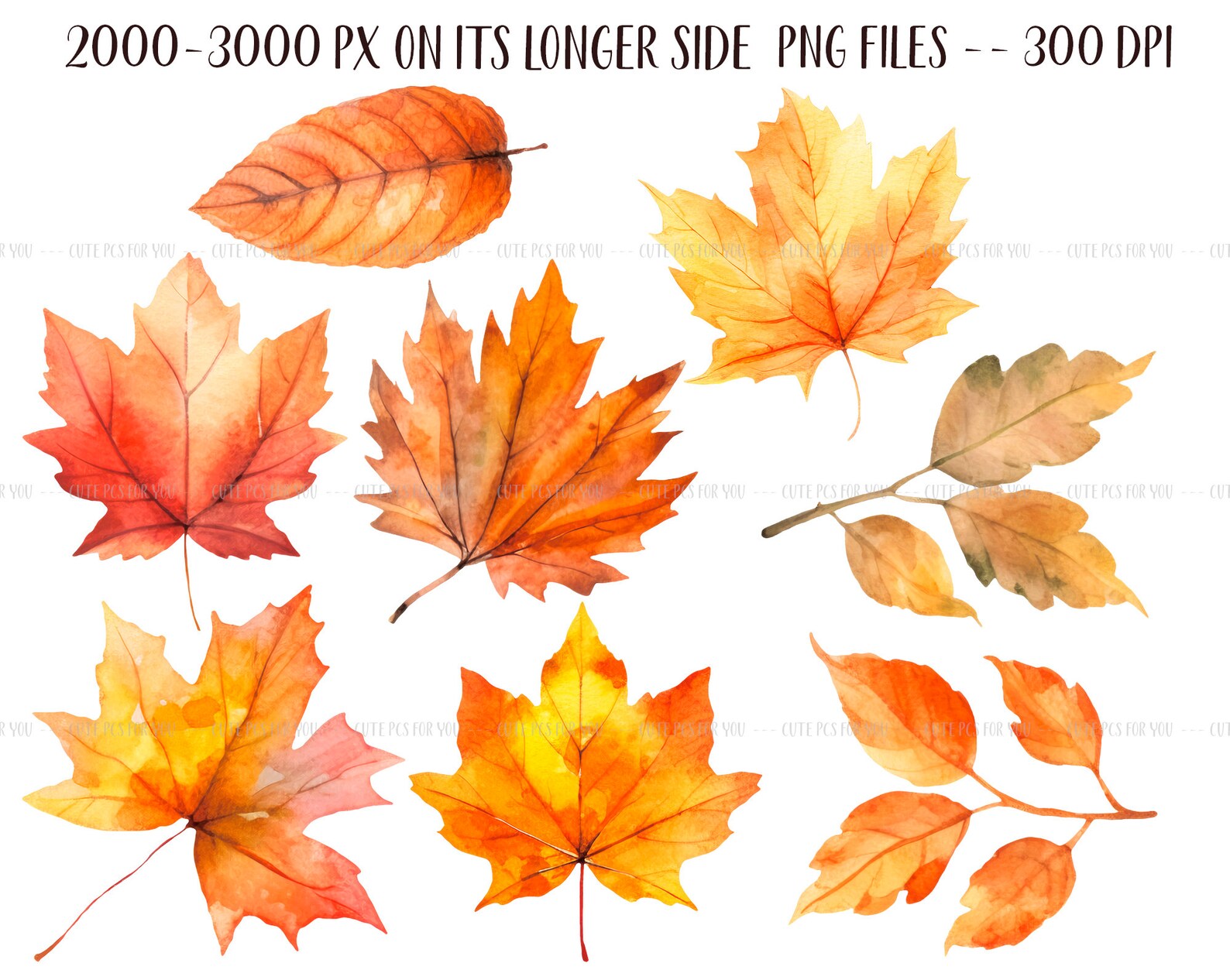 Watercolor Autumn Leaves Clipart: 29 PNG Elements (digital Download) - Etsy