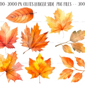 Watercolor Autumn Leaves Clipart: 29 PNG Elements (digital Download) - Etsy