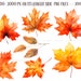 Watercolor Autumn Leaves Clipart: 29 PNG Elements (digital Download) - Etsy