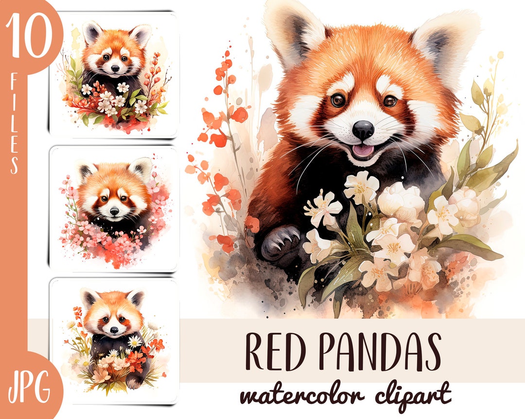 Watercolor Cute Red Pandas Clipart - Panda With Flowers Digital Paper ...