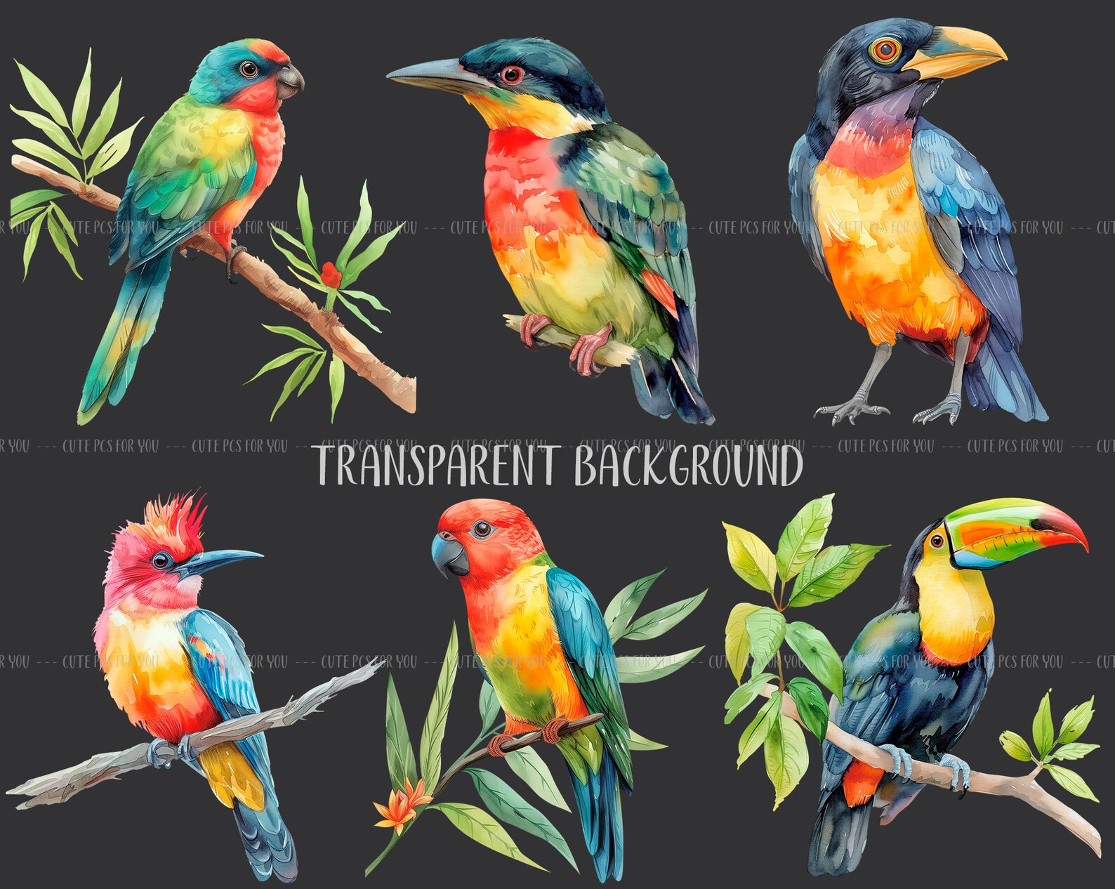 Watercolor Tropical Birds Clipart - Bright Bird Illustration PNG ...