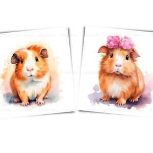 Watercolor Cute Guinea Pigs Clipart - Pets Digital Paper - Floral ...