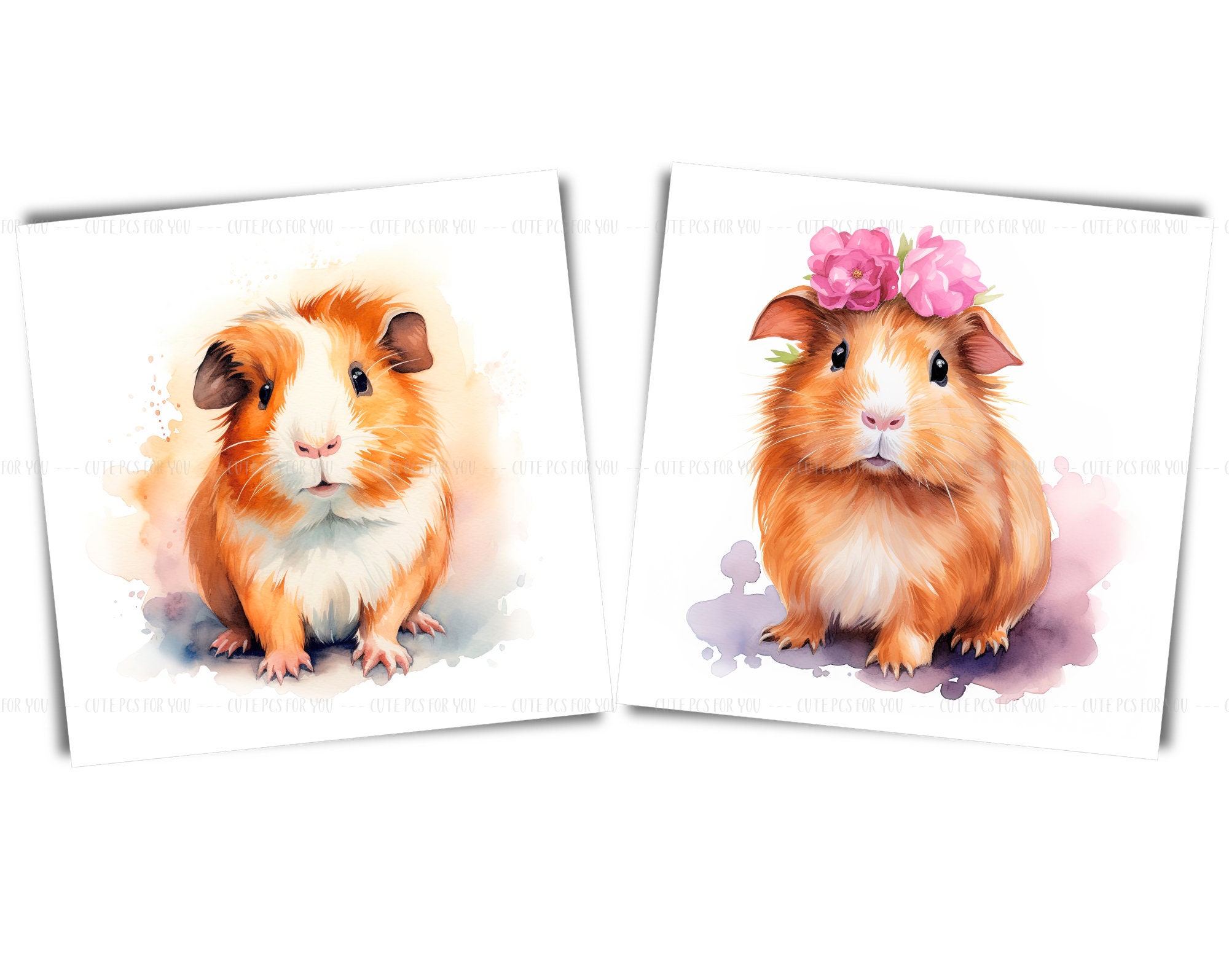 Watercolor Cute Guinea Pigs Clipart Pets Digital Paper - Etsy