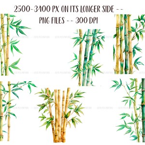 Watercolor Bamboo Clipart Bamboo Stems Frames and Borders for Postcard ...