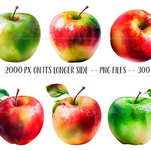 Watercolor Apple Clipart: Red, Green, Yellow Fruits (PNG Digital Art ...