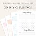 30 Day Challenge Tracker Printable, Goal Tracker Spreadsheet, Printable ...