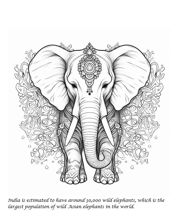 Elephant Coloring Book, Digital Download, Multiple Pages, Adult ...
