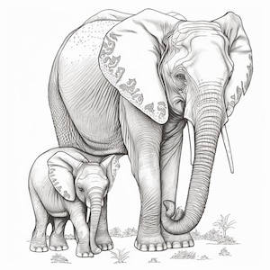 Mother and Baby Elephant Coloring Pages, Digital Download - Etsy