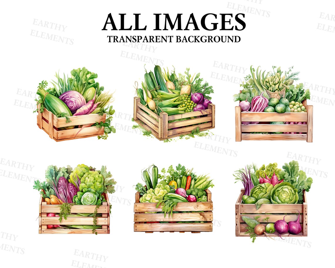 Watercolor Vegetables Clipart, Commercial Use Clip Art, Watercolor ...