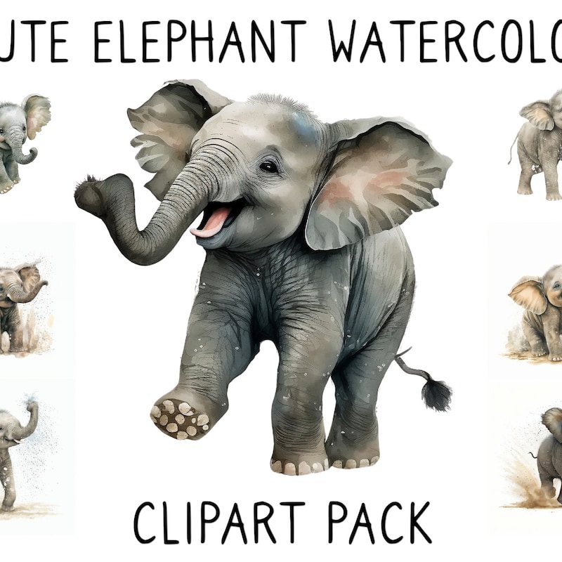 Elephant Watercolor - Etsy
