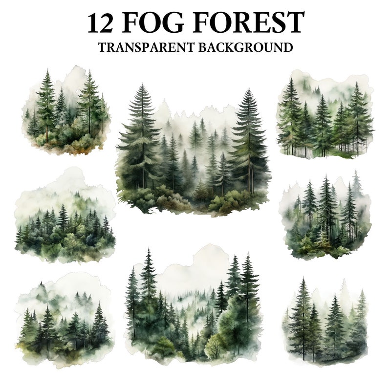 Foggy Forest - Etsy
