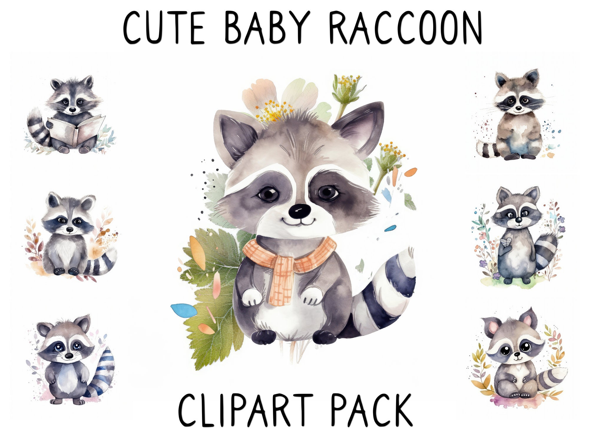 Baby Raccoon Clip Art