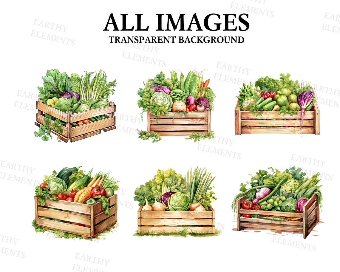 Watercolor Vegetables Clipart, Commercial Use Clip Art, Watercolor ...