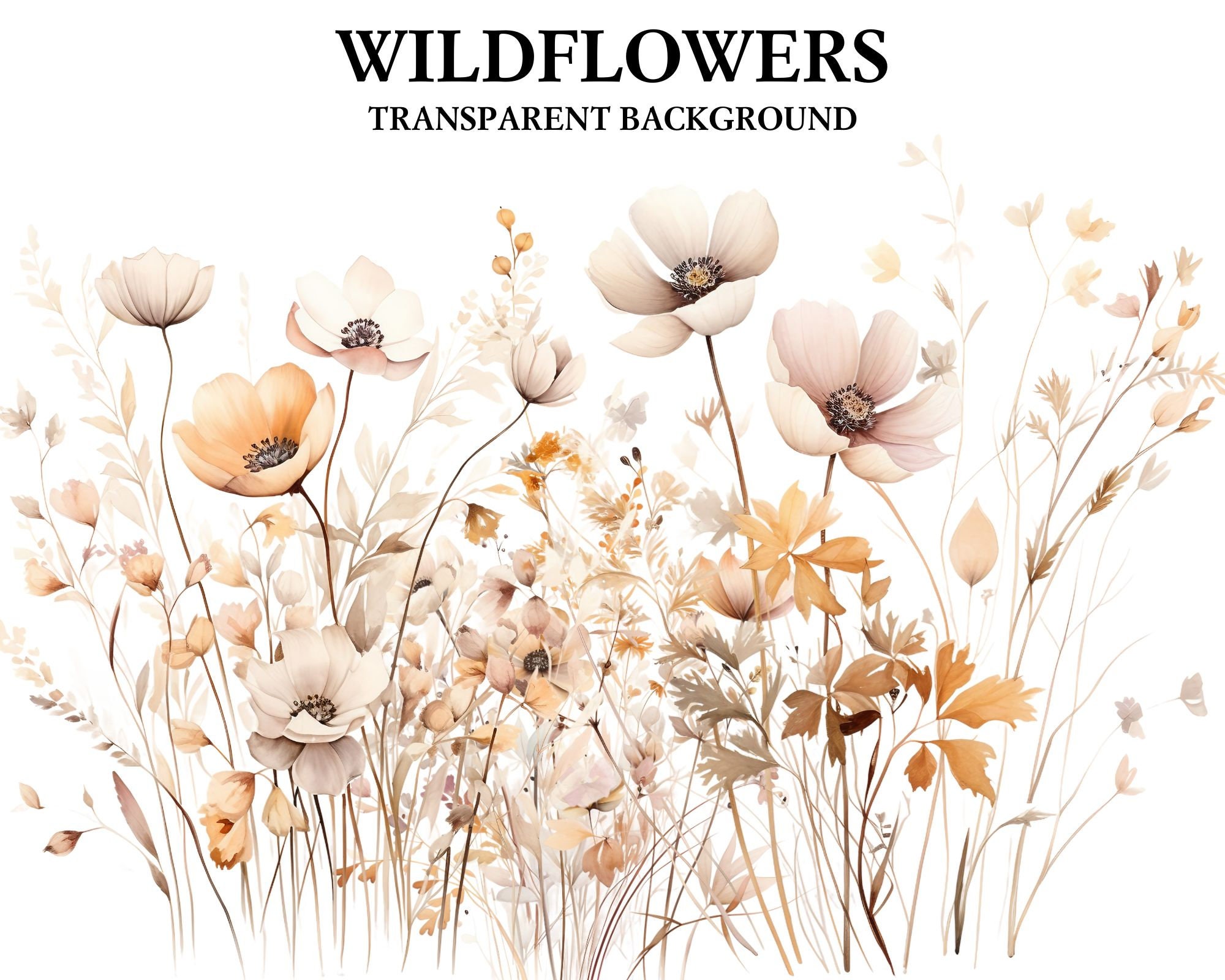 Watercolor Floral Clipart, Wild Flower Watercolor Clipart, Botanical ...