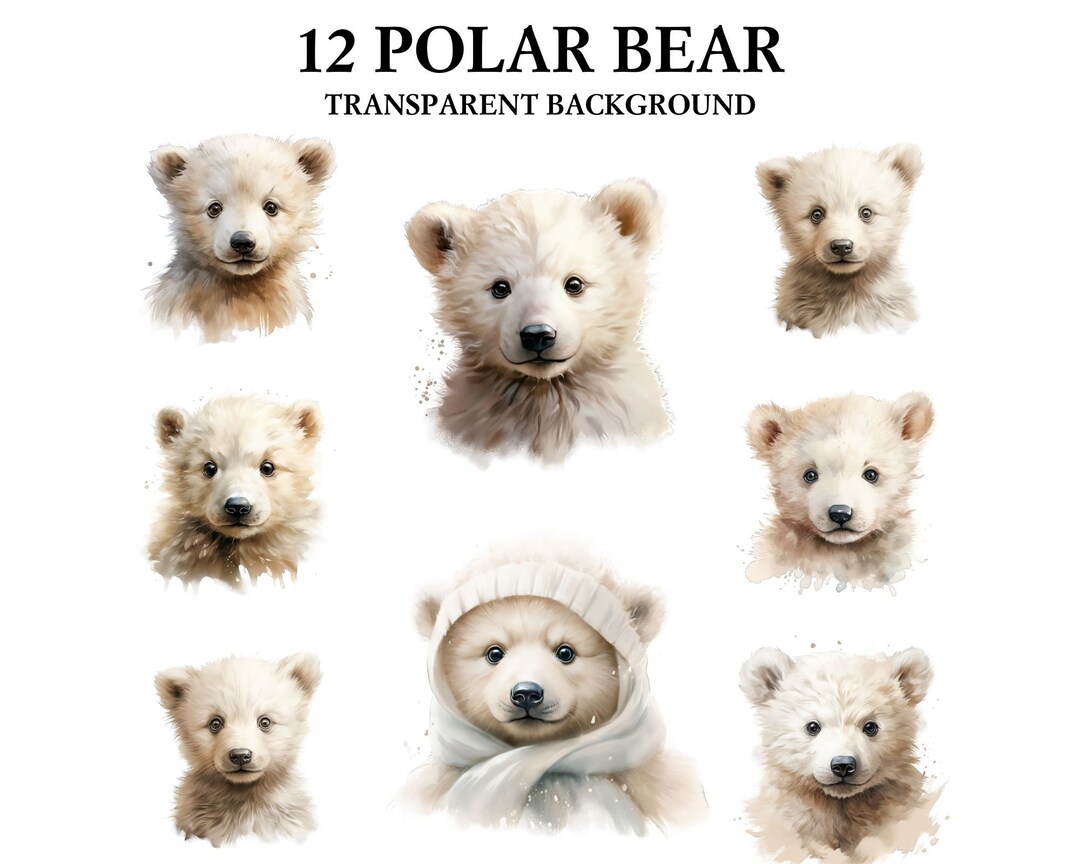 Cute Polar Bears Watercolor Clipart,commercial Use Clip Art, Watercolor ...