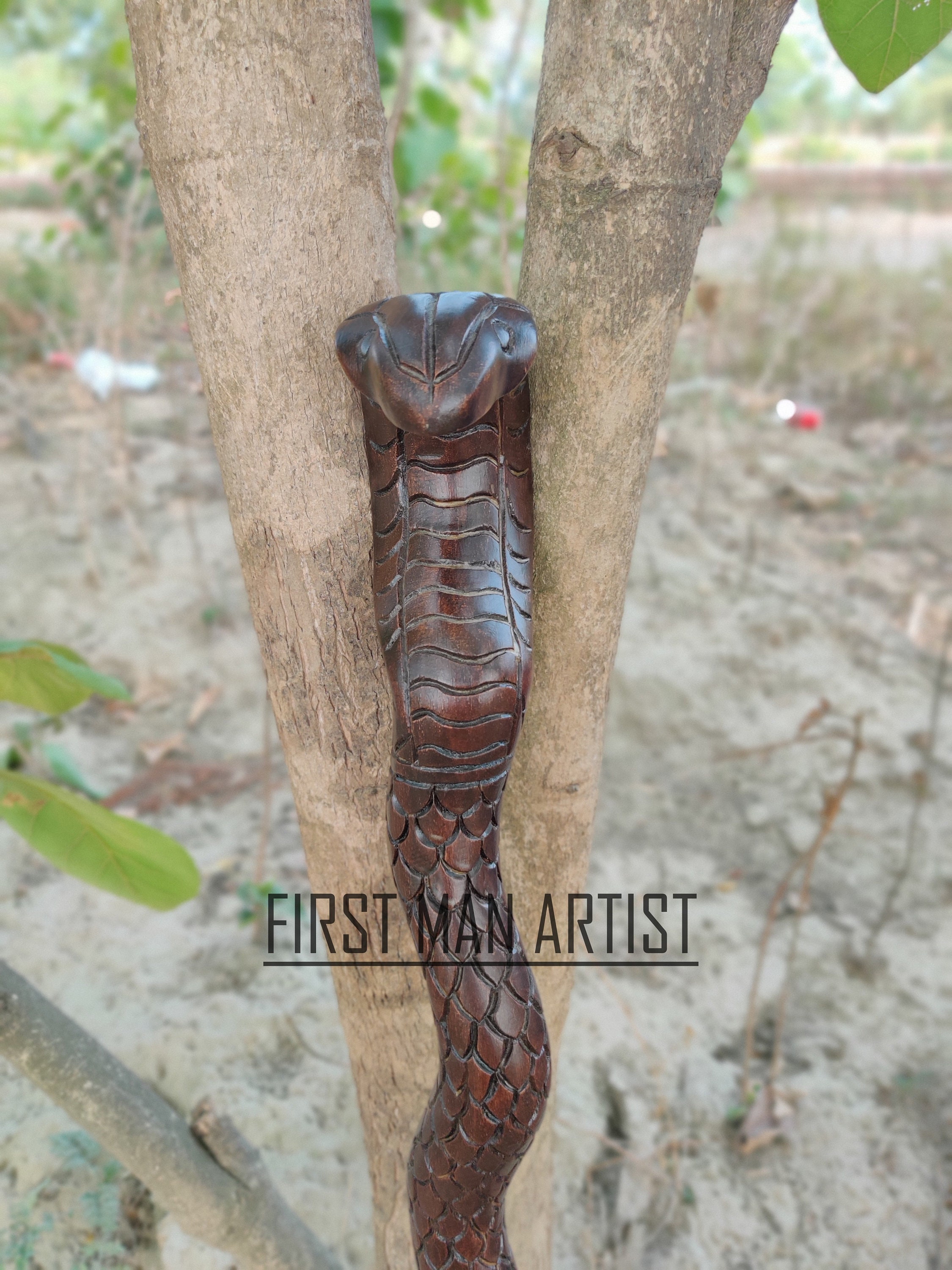 Rare Hand Carved Snake Walking Stick Wooden Walking Stick Cane - Etsy UK