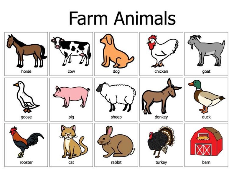 Farm Animals Visual Choice Board Communication Autism Boardmaker AAC ...