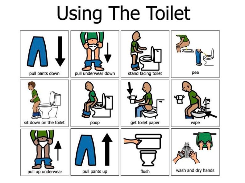 Potty Training Toilet Visual for Boys Autism Sit/stand Bathroom ...