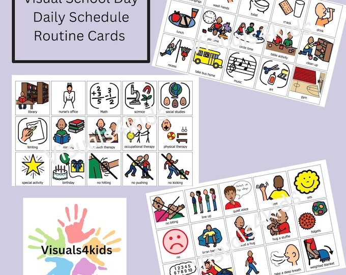 Boardmaker Daily Schedule PEC Board - Etsy Canada