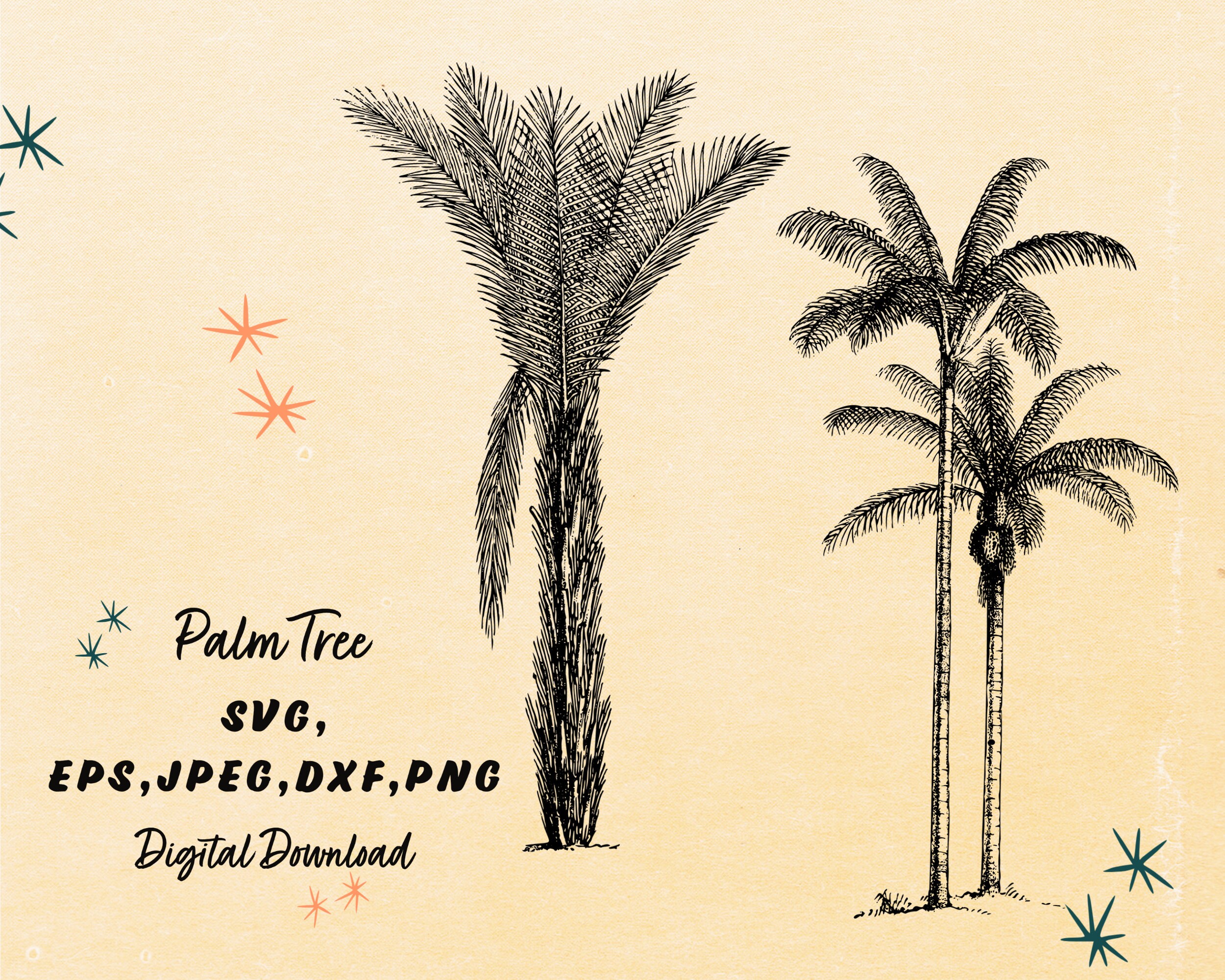 Palm Tree Svg Palm Tree Silhouette Palm Tree Cut Files Palm - Etsy