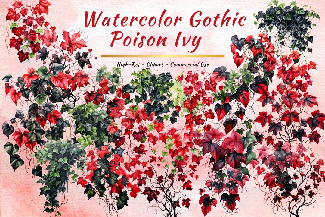 Gothic Ivy SVG PNG Clipart Collection Tropical Leaves, Botanical, Leaf ...