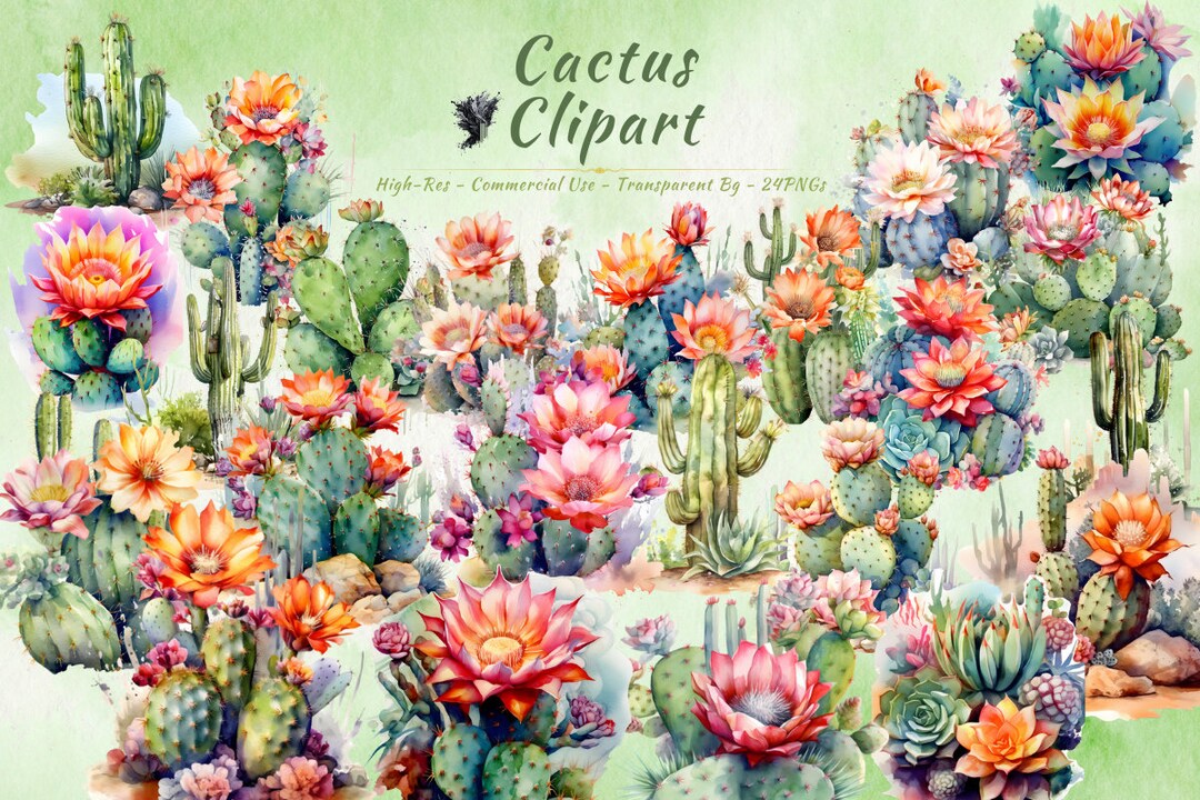 Cactus PNG Clipart Collection Deserty Cactus, Botanical, Floral Clipart ...