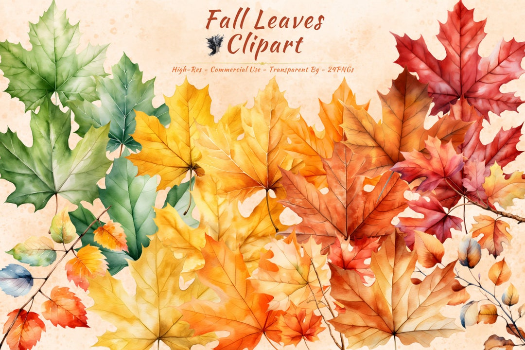 Colorful Fall Leaves Clipart Collection Gold Green Red - Etsy Canada