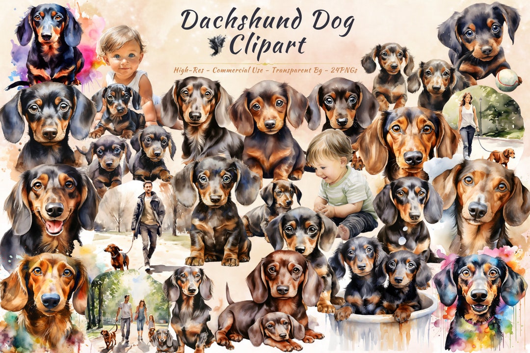 Dachshund SVG PNG Clipart Collection Dog Breed Puppy Dog - Etsy