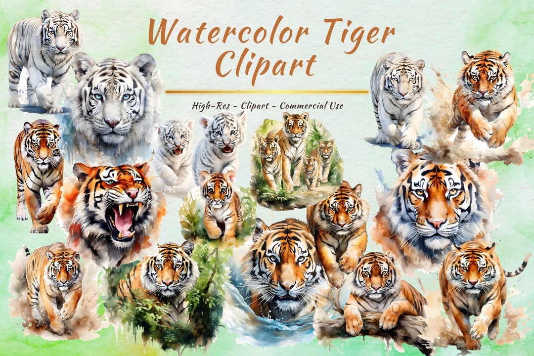 Tiger SVG PNG Collection Unique Tiger Clipart Jungle Safari Animals ...