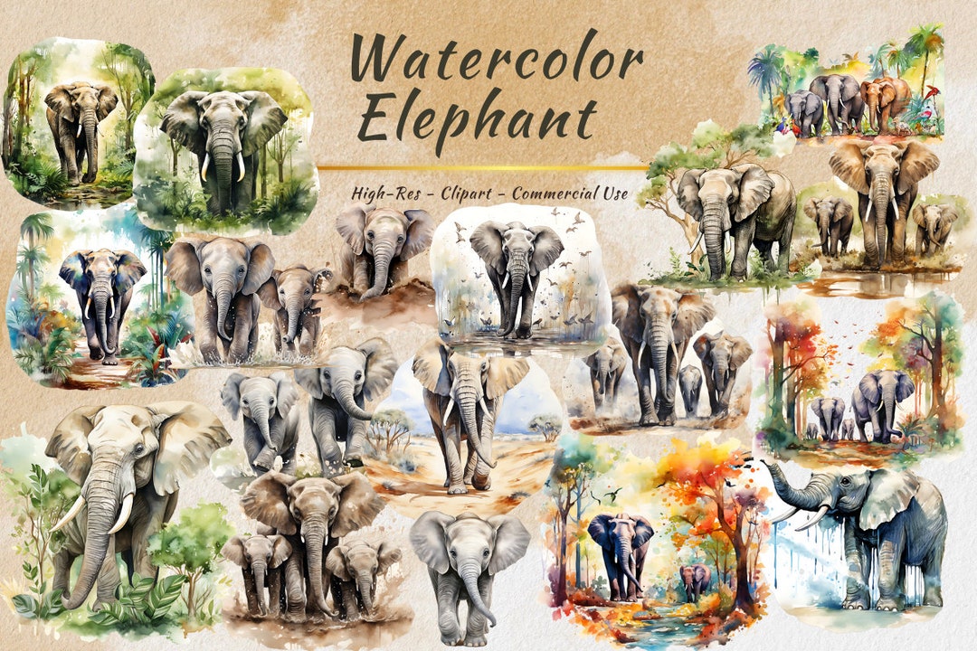 Elephant SVG PNG Collection Baby Elephant, Jungle, Safari Animals ...